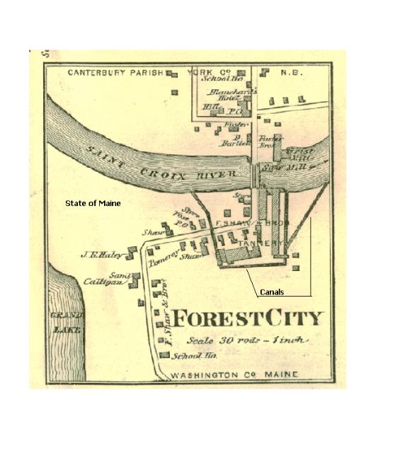 Forest City New Brunswick>